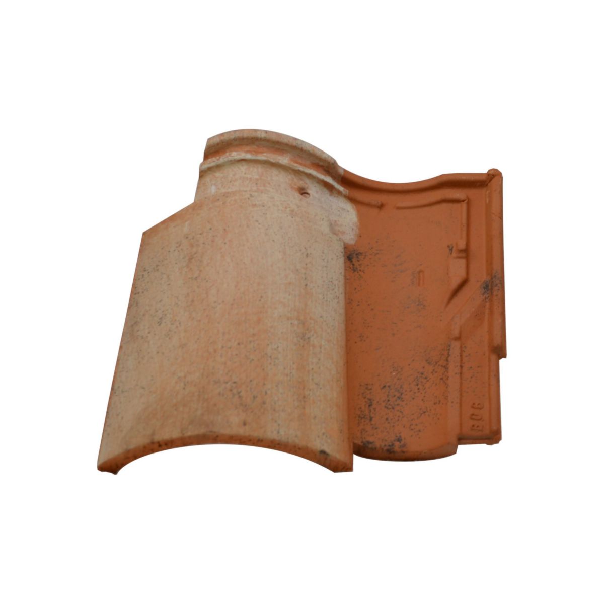 TERREAL - Tuile 1/2 pureau canal horizon reflets castel roumazieres Réf ...