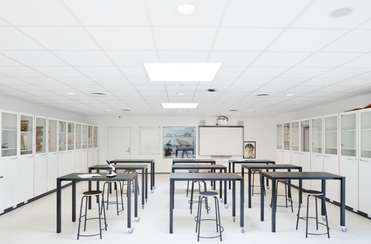 ECOPHON - Dalle de plafond Master Rigid gamma bords A T24 Blanc 600x1200x20mm 35444031 | POINT.P