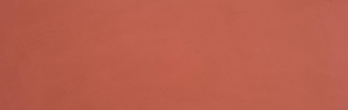 COLORKER - Carrelage mural faïence Impulse - Garnet mat - 25x75 cm - ép ...