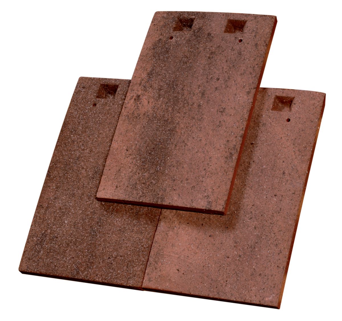 TERREAL - Tuile plate terre cuite Rustique 1NO 17x27cm Sable bourgogne ...