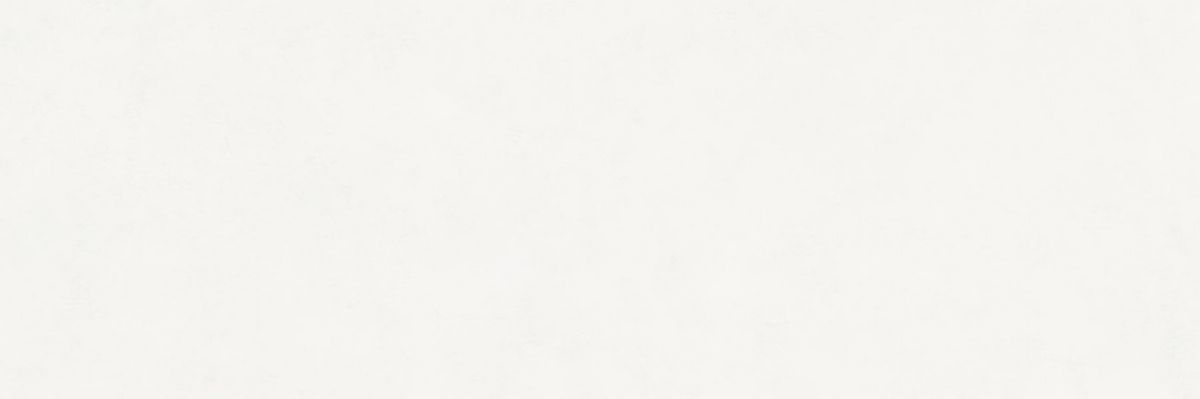 RAGNO - Carrelage mural faïence Vida - bianco - rectifié - 30x90 cm ...