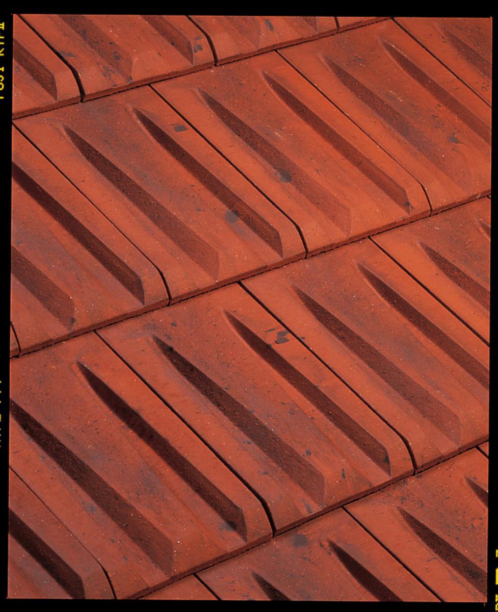 EDILIANS - Tuile terre cuite Rhôna 10 rouge nuancé 465x308 mm teinte ...