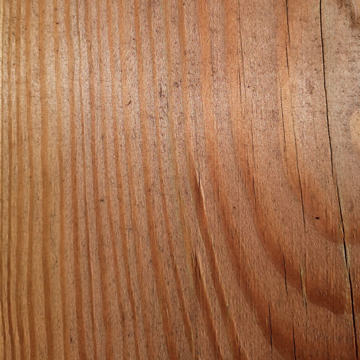 Bois d'ossature Pin rouge du Nord C24 traité classe 4 vert raboté 4 ...