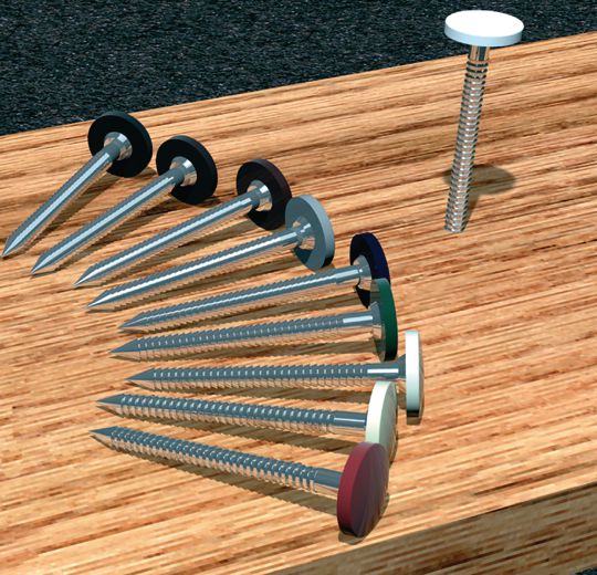 ULTIBAT - Ultibat Clou annelé inox A4 50mm pour bandeau de rive (boîte ...