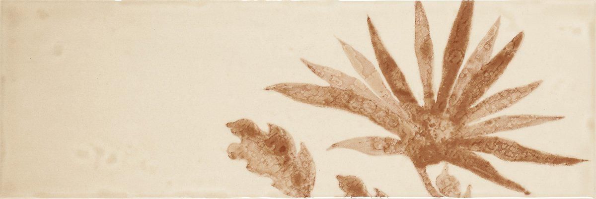 IRIS - Faïence murale Aura - décor Aura spice glossy - 10x30 cm | POINT.P