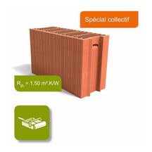 BIO'BRIC - Brique de mur mono'mur 30 bio'bric rectifiée Bouyer Leroux L. 300 mm l. 300 mm H. 212 ...