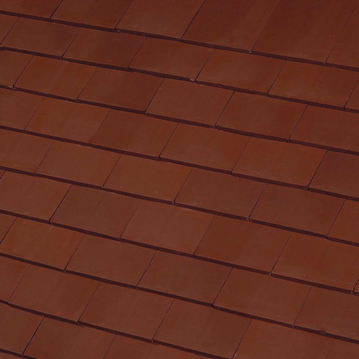 TERREAL - Tuile à tenons encastrés Éminence 1 EM - terre cuite - brun ...