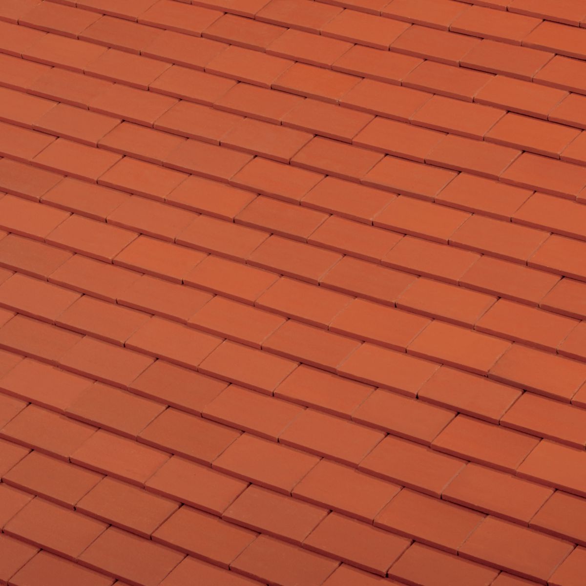 TERREAL - Tuile plate terre cuite Périgord 1PG 18x28cm Rouge Réf ...