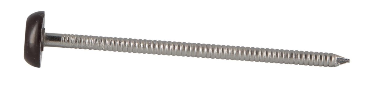 NICOLL - Clou inox à embout plastique longueur 65mm Belriv système ...