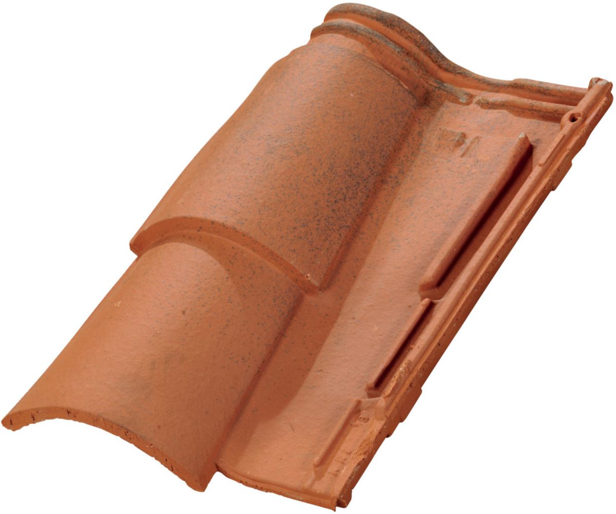 TERREAL - Tuile grand moule du sud terre cuite Latitude 12 1LD Vieilli ...