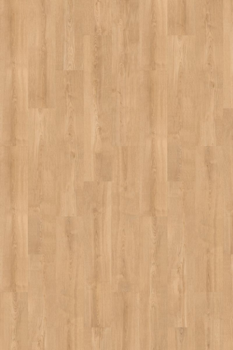 HARMONY ONE - Lame Harmony One Encore elben oak extears f04 246 x 1290 ...