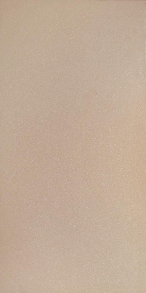 NOVOCERAM - Carrelage Standard Evolution 500 - grès cérame - beige ...