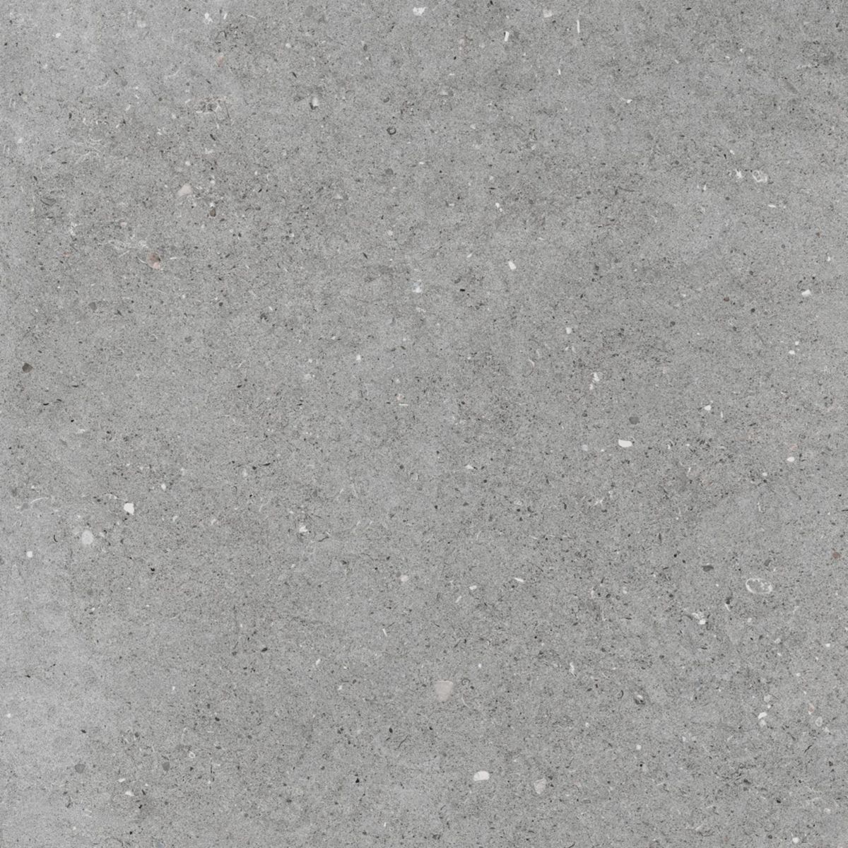 REFIN - Carrelage sol intérieur Masterplan Block - grès cérame rectifié - cinder naturel - 60x60 ...