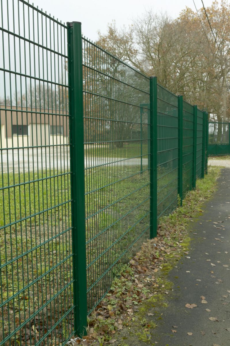 DIRICKX - Panneau de clôture rigide Axis DR - vert 6005 - maille 55x200 ...