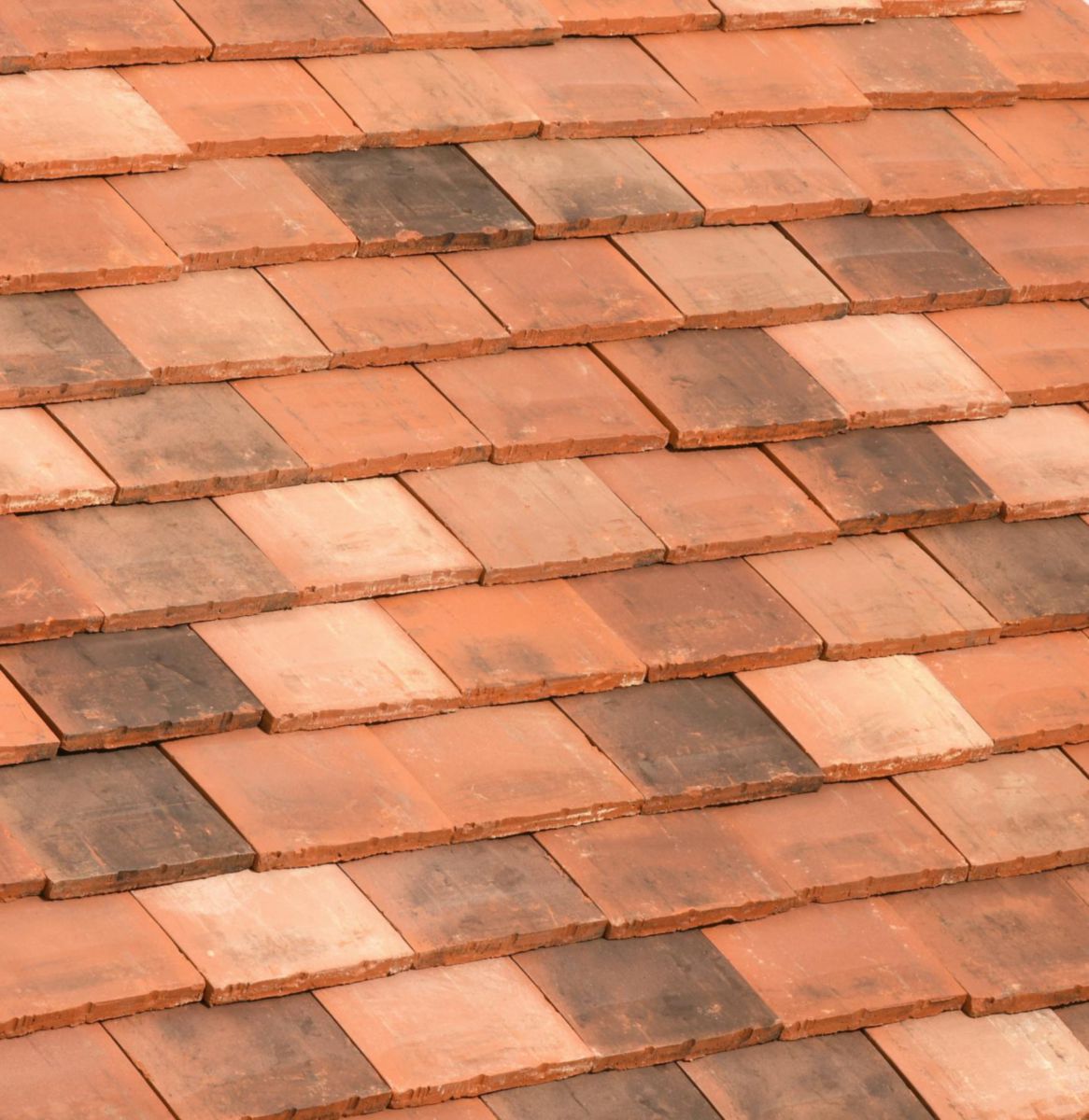 EDILIANS - Tuile plate terre cuite plate Elixir 511 16x27 cm teinte 157 ...