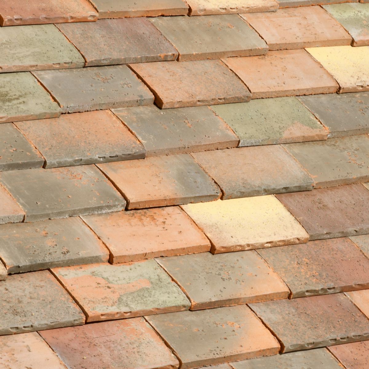 EDILIANS - Tuile plate 18x28 anteis doyet 532 abbaye | POINT.P