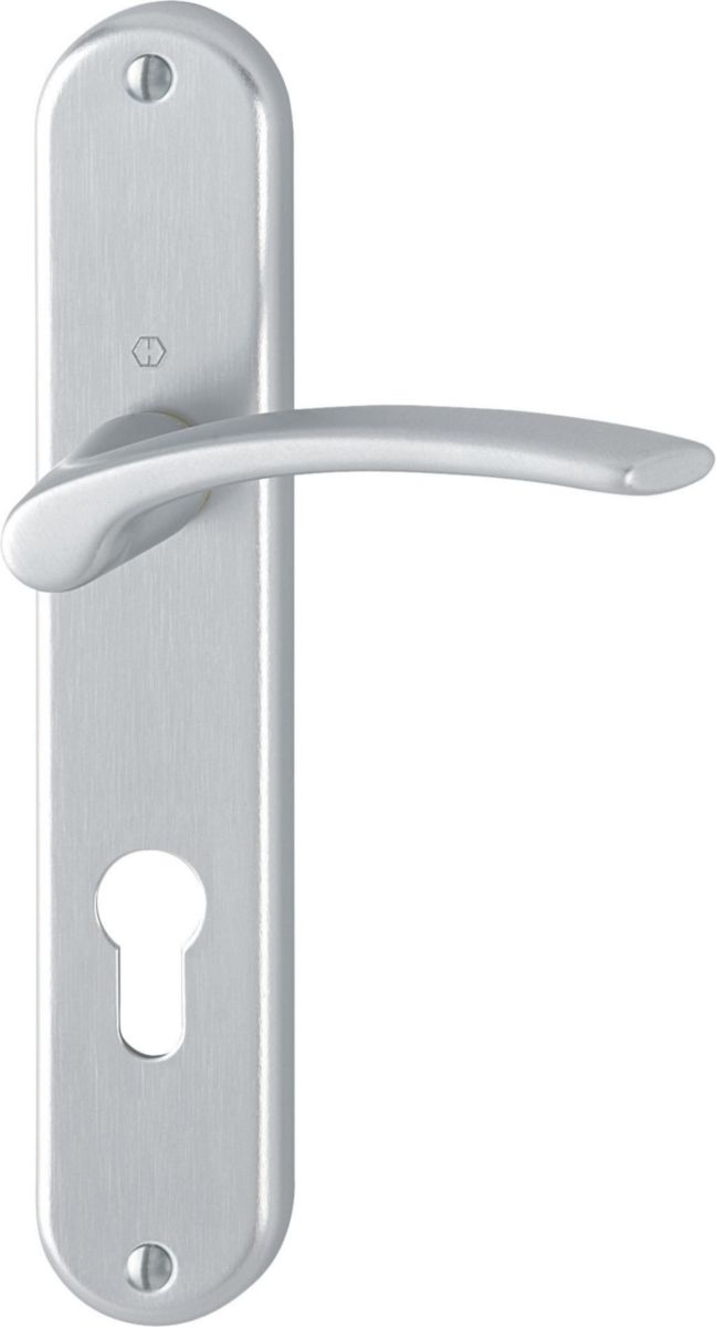 HOPPE - Action KTL sur plaque ligne Ibiza avec clé I aspect inox Réf ...