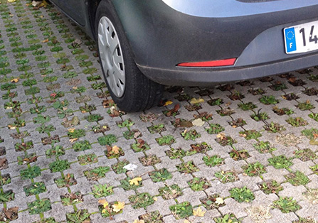 Quel revêtement choisir pour une allée carrossable ? Nos conseils | POINT.P